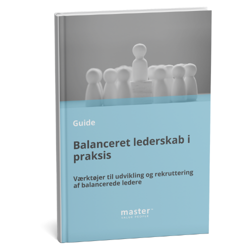 Guide: Balanceret lederskab i praksis